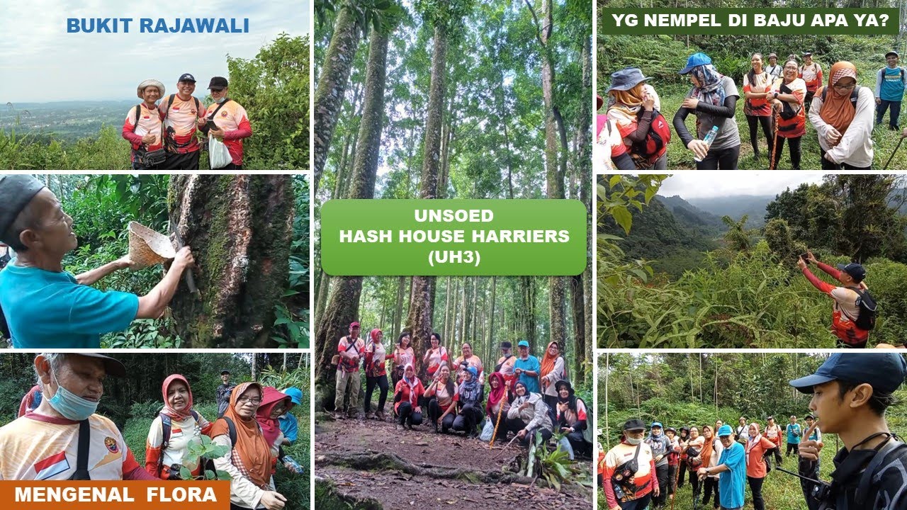 21/05/2022 HIKING KE BUKIT RAJAWALI MENGENAL FLORA BERSAMA DR PUDJI ...