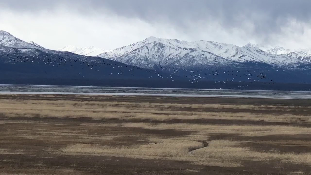 For Sale: Unobstructed views with 4 Bedroom Custom Home! - YouTube