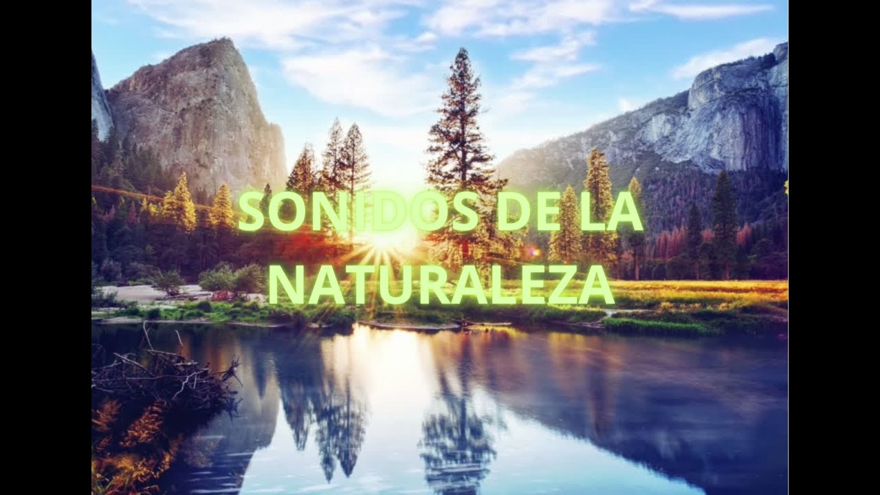 Música Ambiental Relajante, Sonidos de la naturaleza🏞️. Música ...
