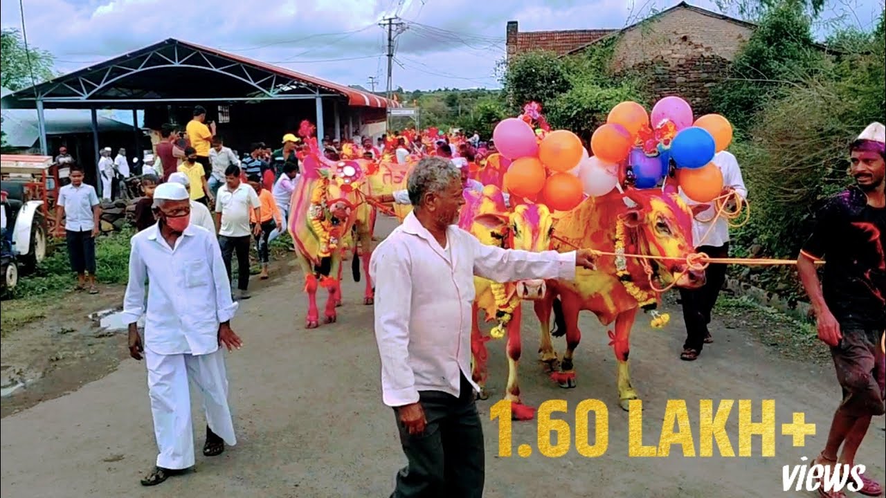 | महाराष्ट्रीयन बेंदूर | | Pimpode Bk. | - YouTube