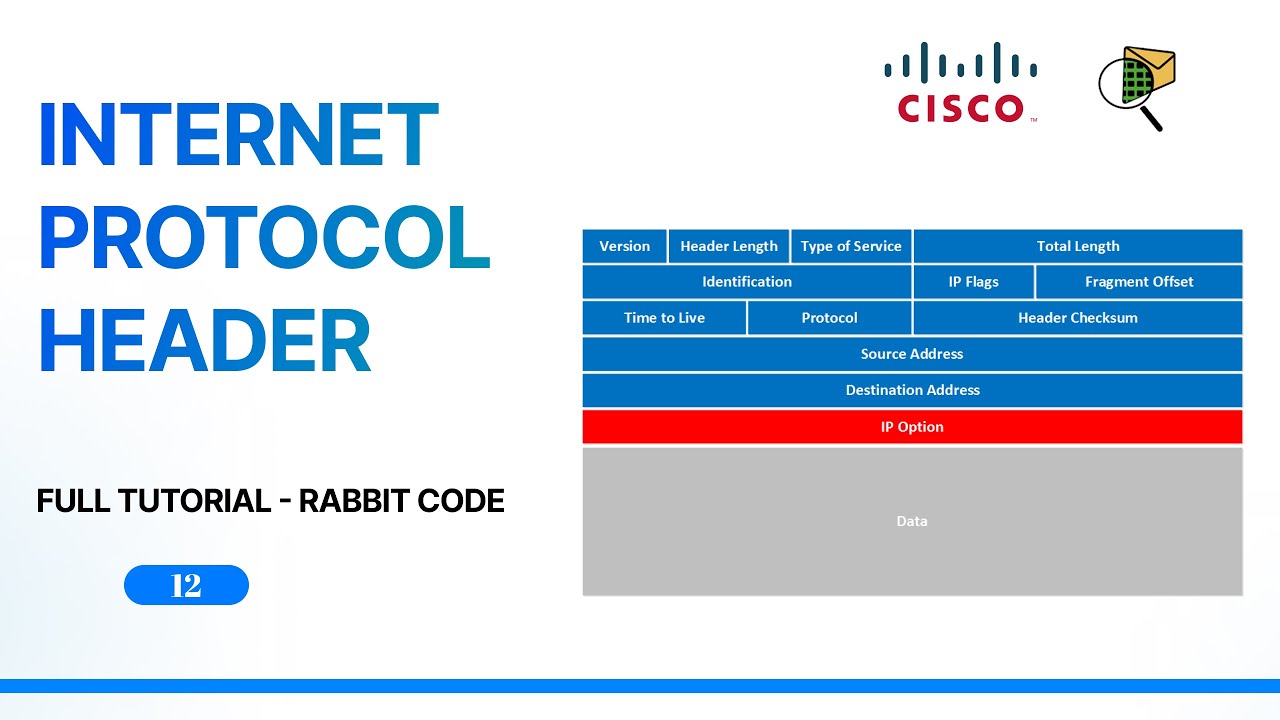 12 IP Header | CCNA | Rabbit Code - YouTube