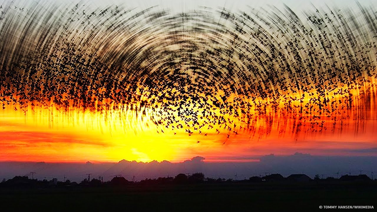 11 Strange Natural Phenomena You've Never Heard Before - YouTube