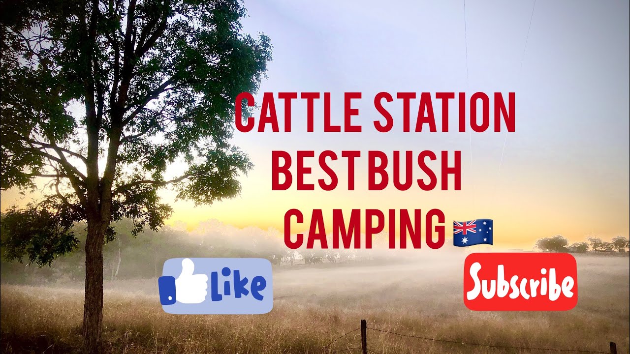 Bush camping part 1 - YouTube