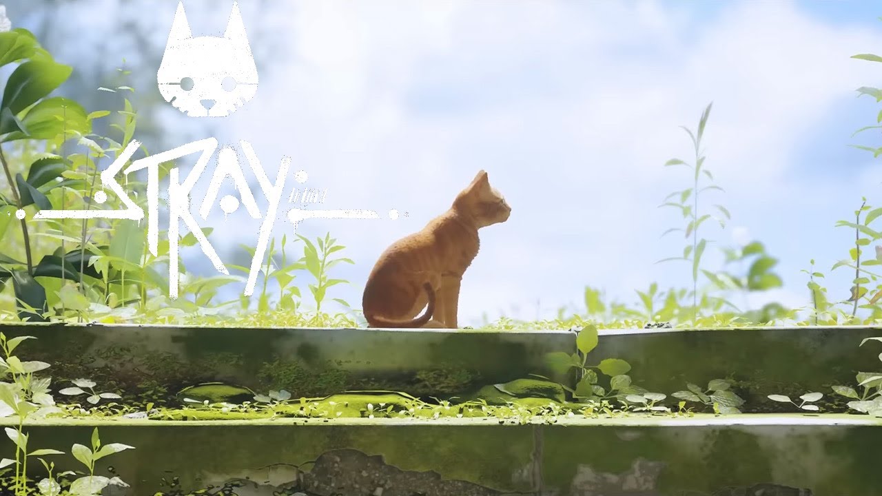 THE OUTSIDE | Stray (ENDING) - YouTube