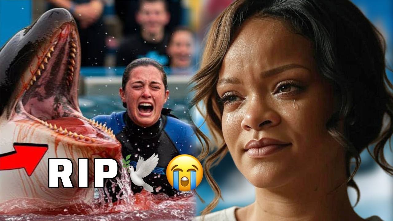 RIP Jessica Radcliffe (Orca Dolphin Attack) - Rihanna (Official Tribute ...