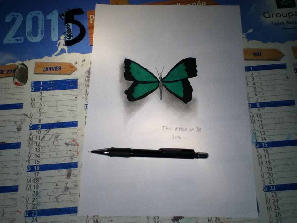 Dessin réaliste : papillon - YouTube