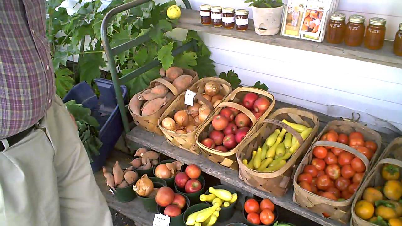 Stan McKenzie's roadside vegetable stand - YouTube