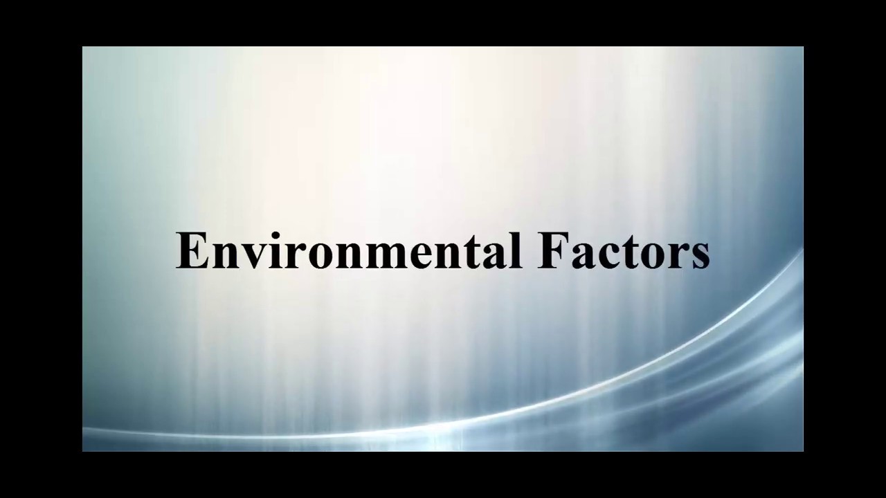 Environmental Factors #communication skills - YouTube