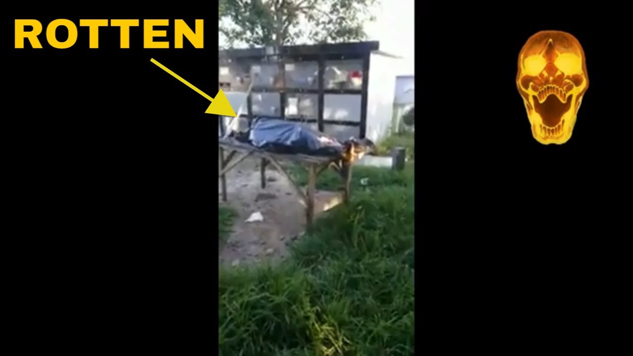 EXHUMATION - ROTTEN BODY DRAWN IN CEMETERY AND EXHUMATION WITH COOKER ...