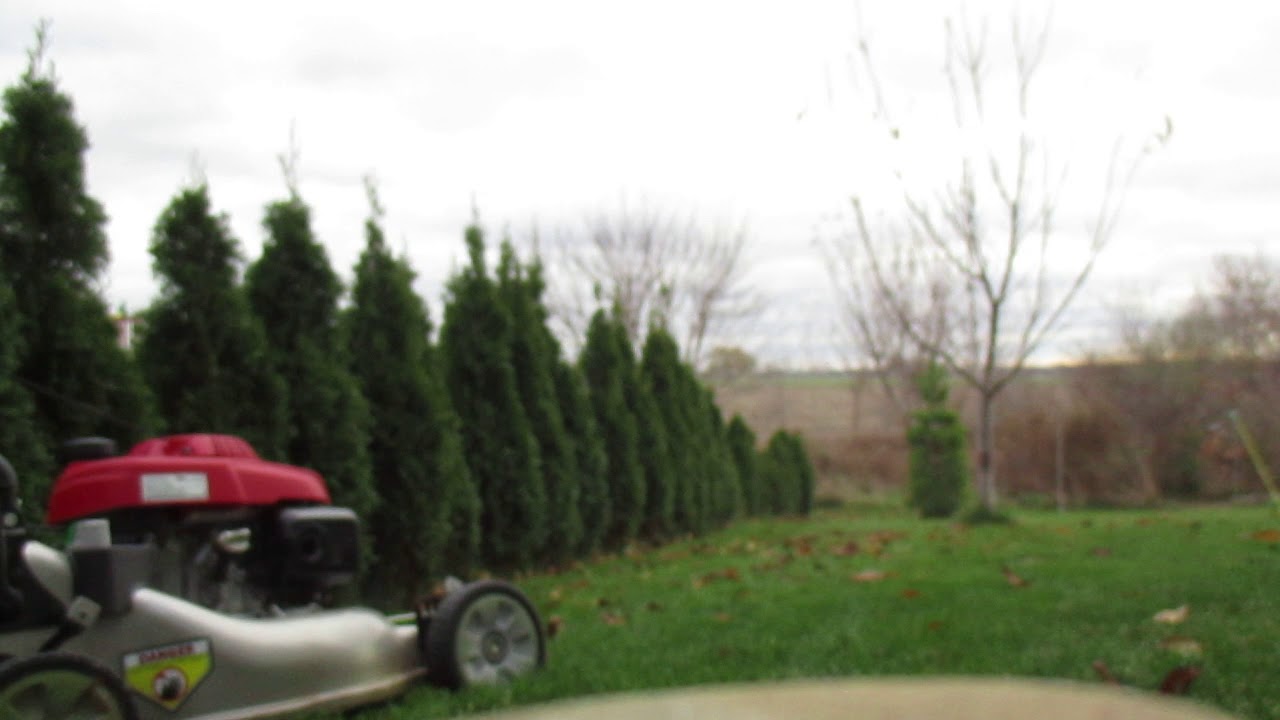 Honda HRR216 cold start and yard work - YouTube