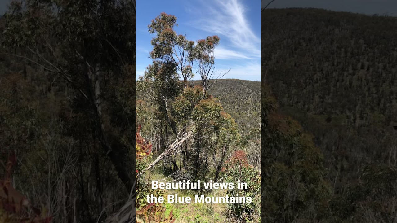 Beautiful views in the Blue Mountains along Bells Line of Road - YouTube