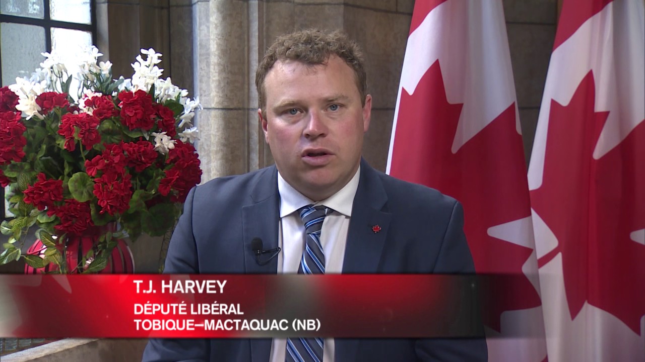 TJ Harvey vous souhaite une joyeuse 150 fête du Canada - YouTube