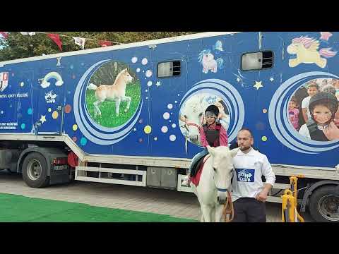 minel ata binip ya nasip dedi😀#like #pony #funny #music #keşfet