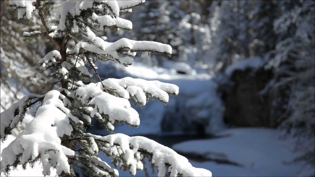 The Best Snow Relaxation Scene on Youtube: Mother Nature's App - YouTube