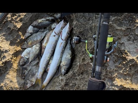 BALIK PEŞİNDE / Bu Sistemde Balık Garanti / At Çek Spin LRF Balık Avı #fishing 