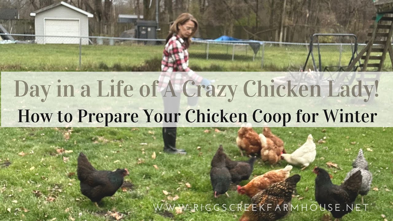 Day in a Life of a Crazy Chicken Lady | Preparing the Chicken Coop for ...