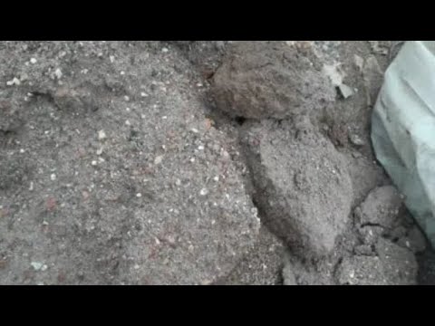 Super Crunchy Brown Dirt Chunks Floor crumbling ASMR | MINI LIBI EDITS ...
