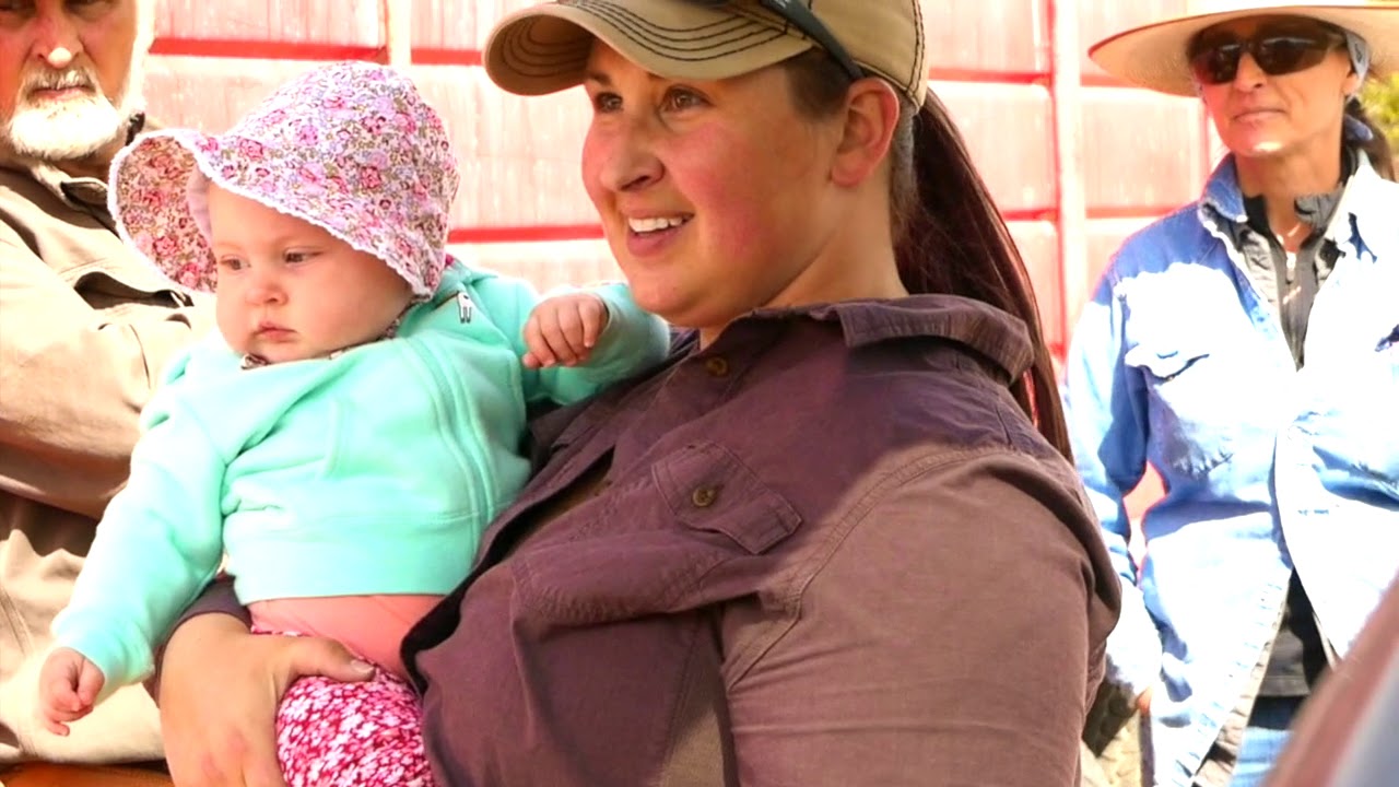 The King Ranch 2 - YouTube