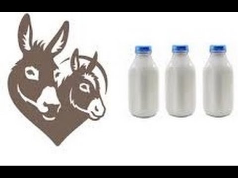 Eşek Sütünün Şaşırtıcı 10 Faydası