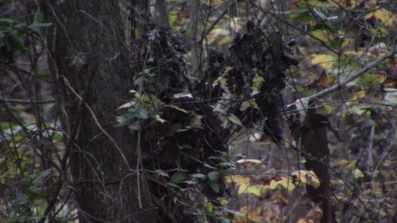 Filmed Bigfoot Only A Few Feet Away 11-7-18 "incredible" - YouTube