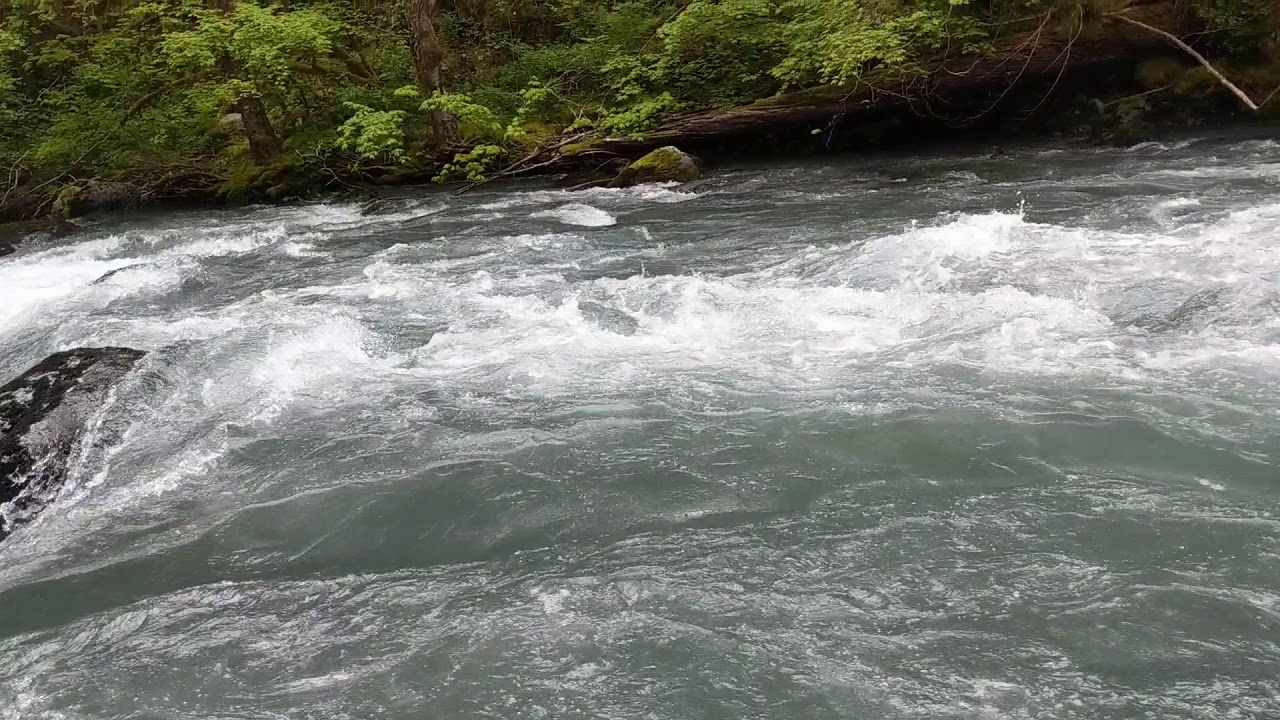 Big Quilcene River on Rainbow Canyon Trail - YouTube