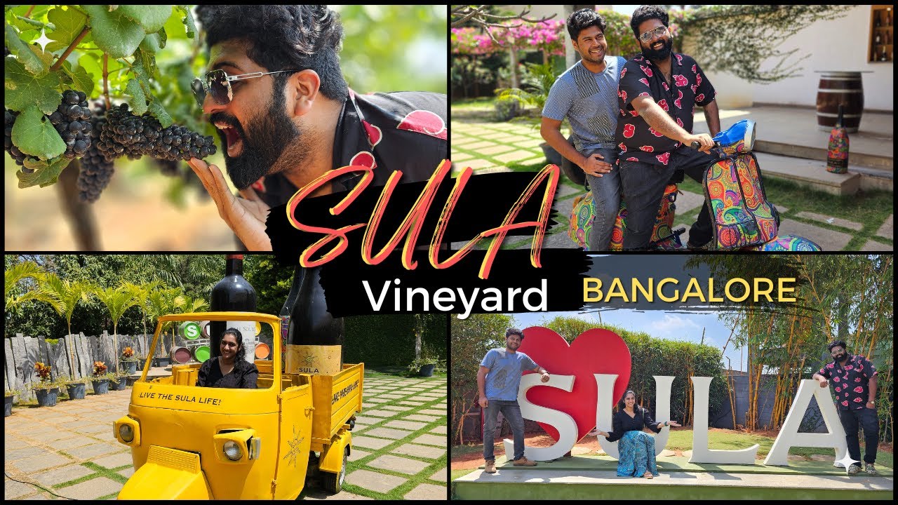 Sula Vineyard Tour - Bangalore | Wine Tasting | Vineyard | Restaurant ...