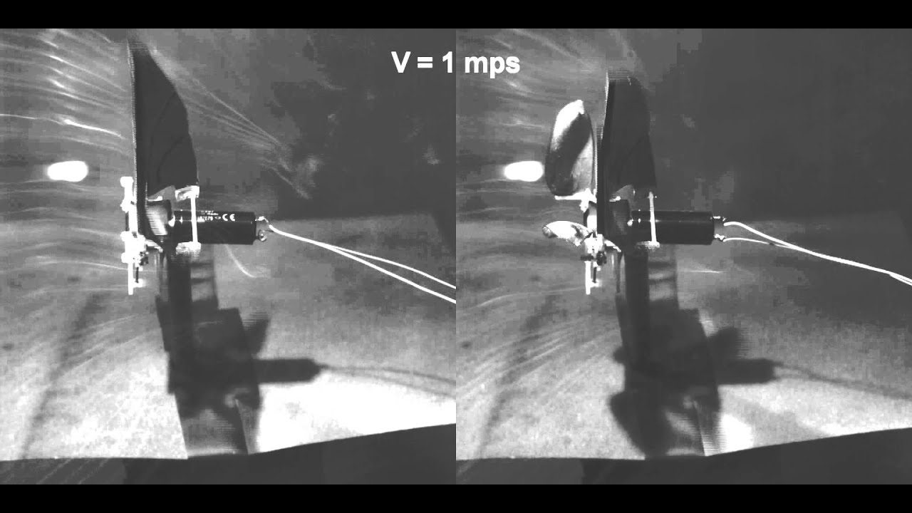 Beetle-Inspired Flapping-Wing System: Flow Visualization - YouTube