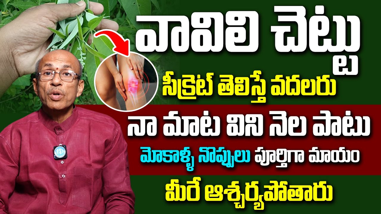 వావిలి చెట్టు సీక్రెట్ తెలిస్తే వదలరు | Health Benefits of Vavili ...