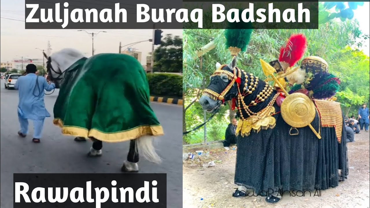World biggest Zuljanah || Buraq Badshah || Rawalpindi || # ...