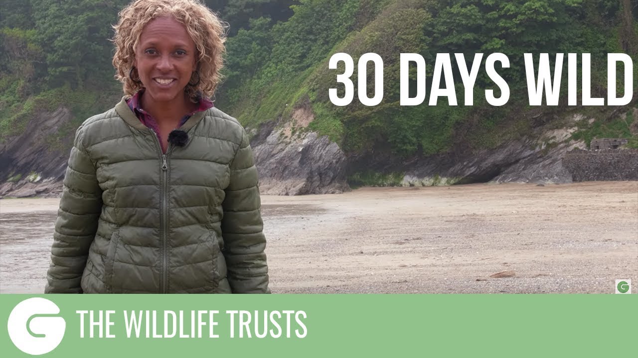 30 Days Wild | The Wildlife Trusts - YouTube