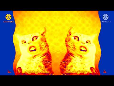 Preview 2 Numa Cat Short Effects Effects - YouTube
