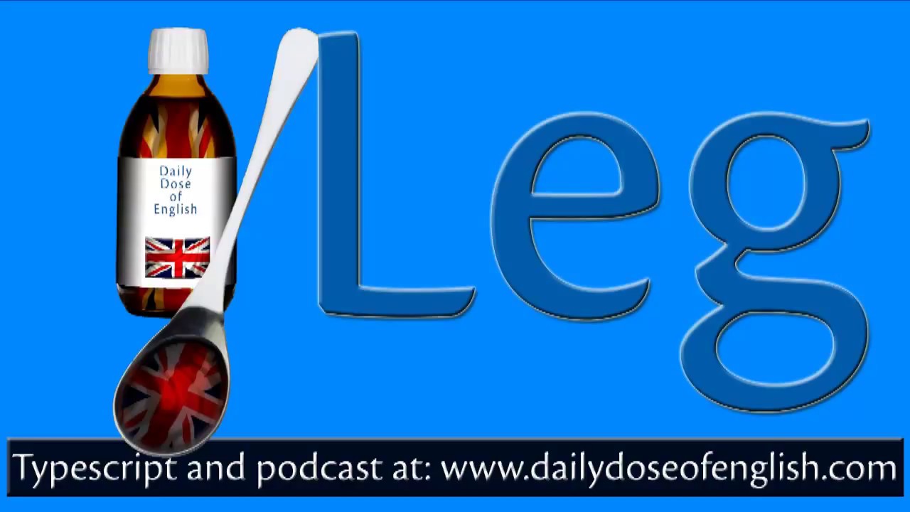 Leg - English Vocabulary - Learn British English - YouTube