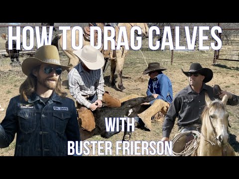 How to Drag Calves with Buster Frierson - Just Ranchin' 17 - YouTube