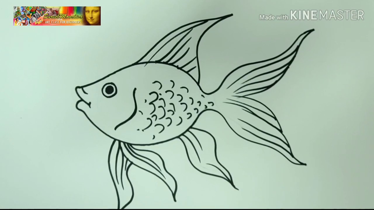 How to draw a fish easy step by step for Kids - YouTube