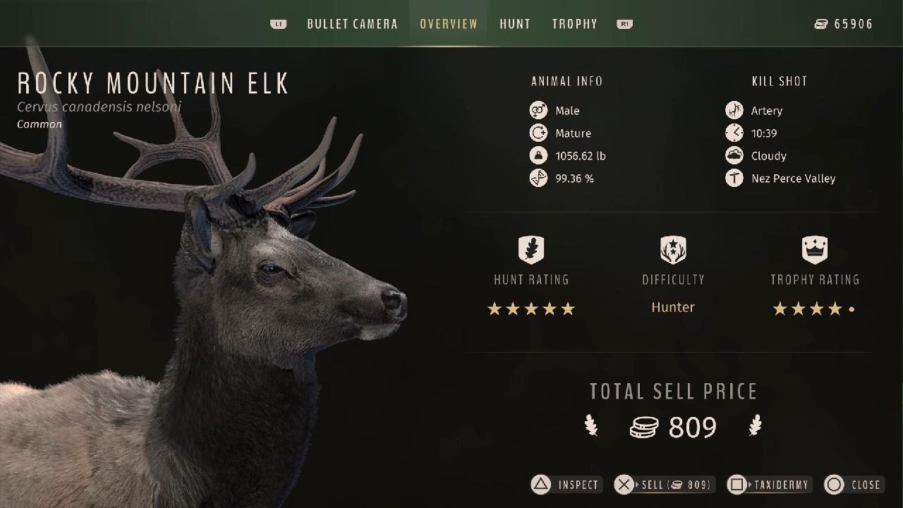 British Columbia Rocky Mountain ELK hunt with 270 winchester 130 ...