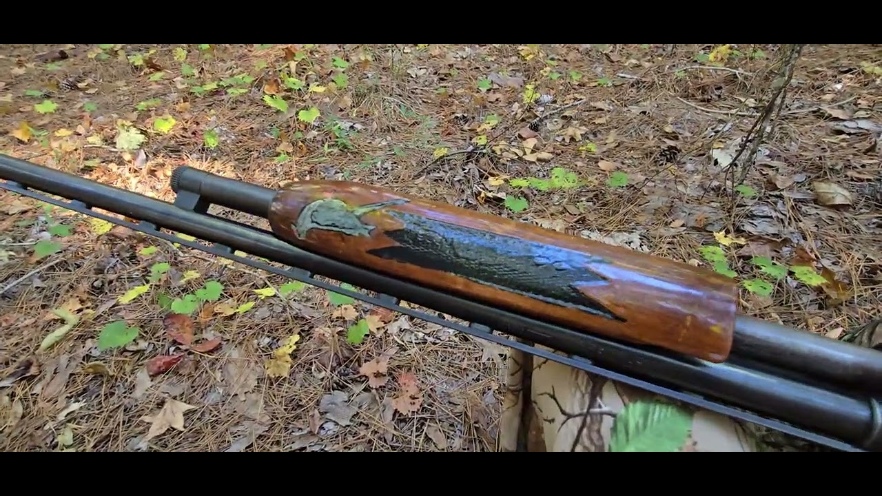 @OMDO_OUTDOORS1st Squirrel Hunt of the Season. Harder to stay hidden in ...