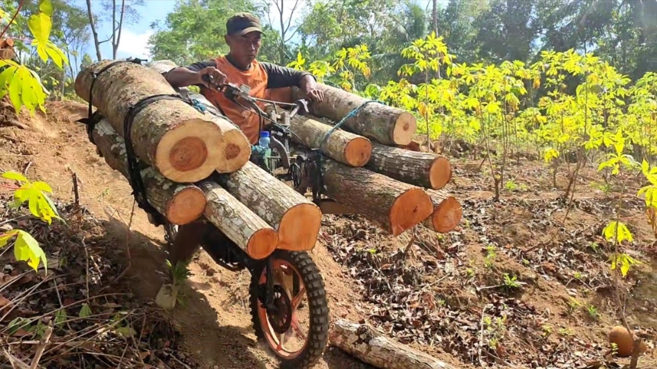 Genius way to transport lots of wood using a motorbike - YouTube