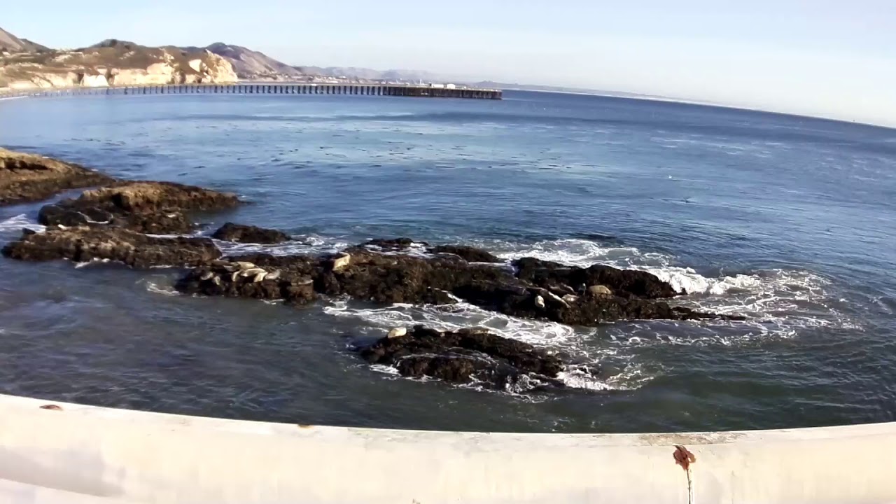 Camera and Lens Tests. Cal Poly Pier Live Stream (Pier Ocean Peer) 11. ...