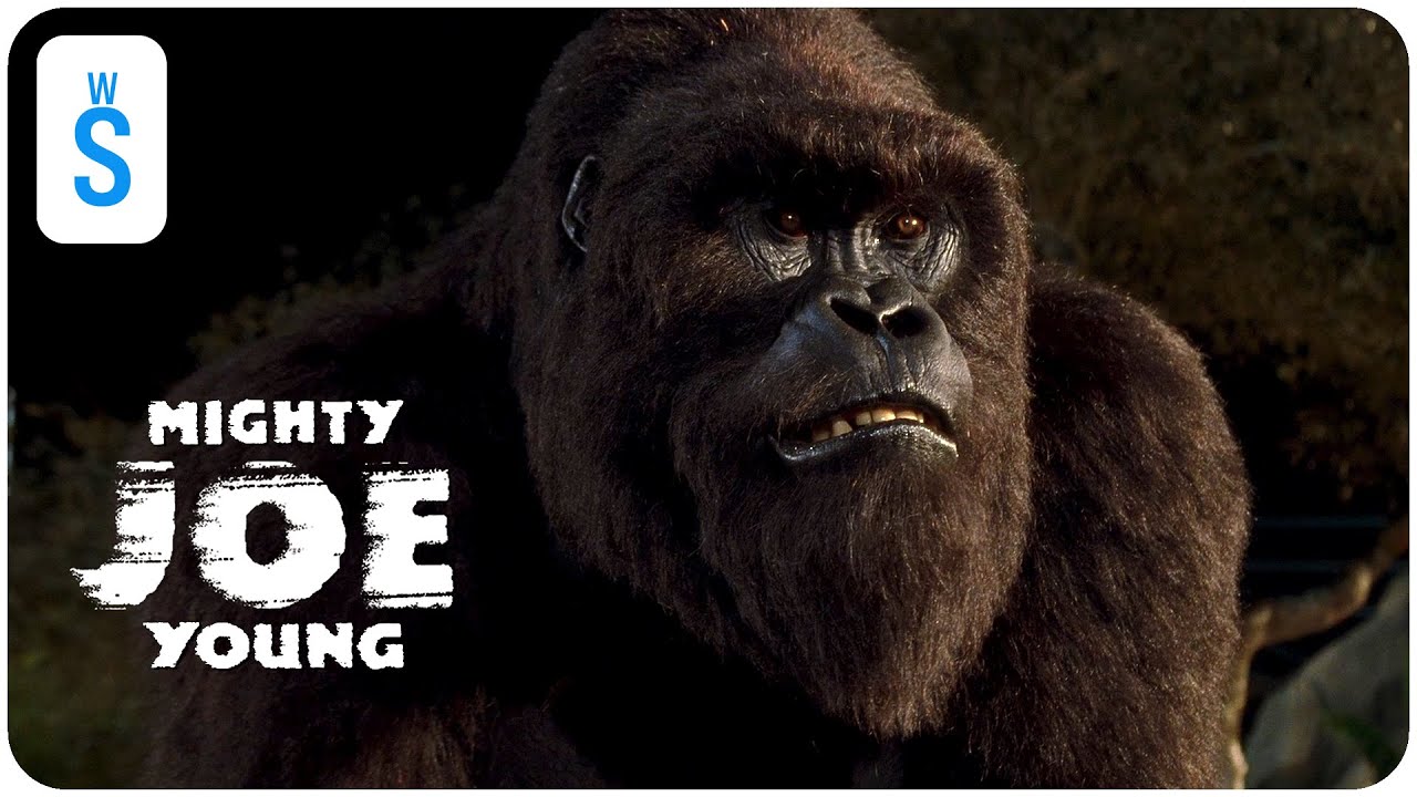Mighty Joe Young (1998) | Scene: Joe trashes the gala - YouTube