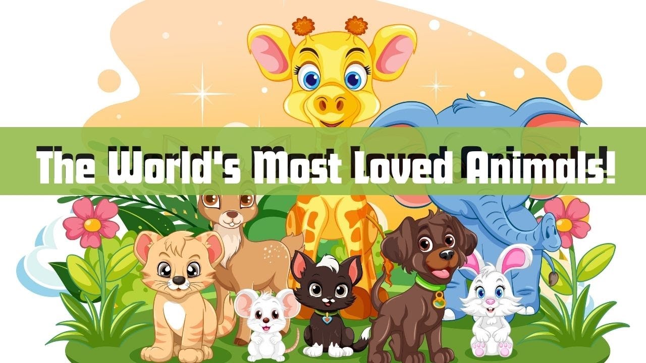 The World’s Most Beloved Animals | The Animals Everyone Loves - YouTube