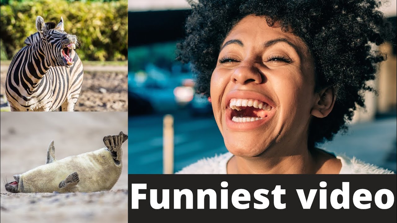 funniest video moments - YouTube