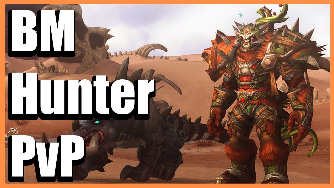 So many Changes! - BM Hunter PvP Pre-Patch - YouTube
