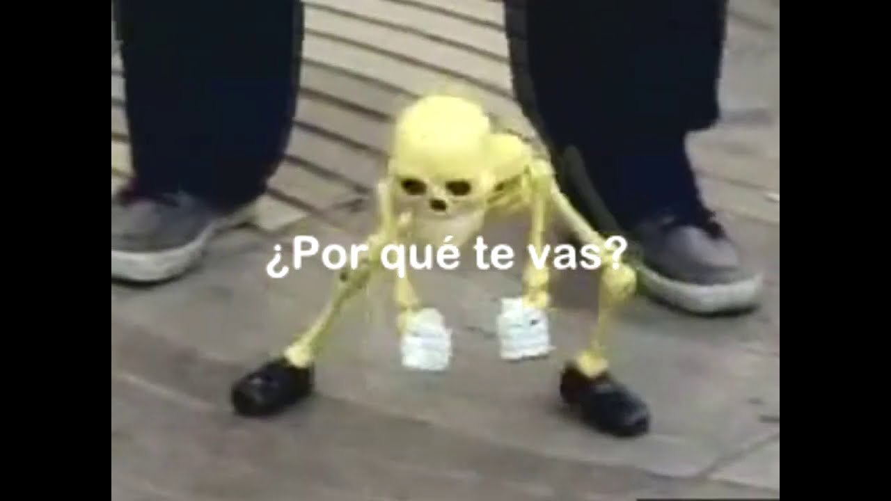 ¿Por qué te vas? con una calaca chida bailando de fondo - YouTube