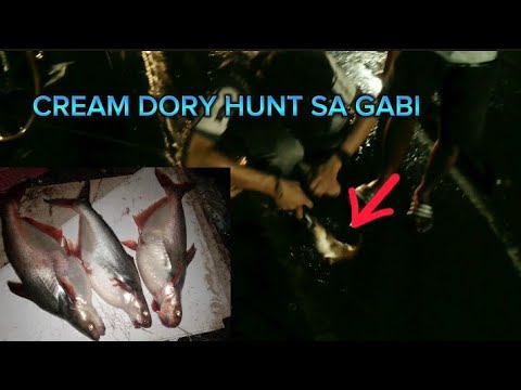 1st TIME MAGNIGTH FISHING SA JAVIER BRIDGE CREAM DORY HUNT W ...