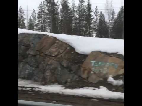 Instagram post by Olga Bashmarova // Москва - Мурманск. Полярные зори 11 мая 2017