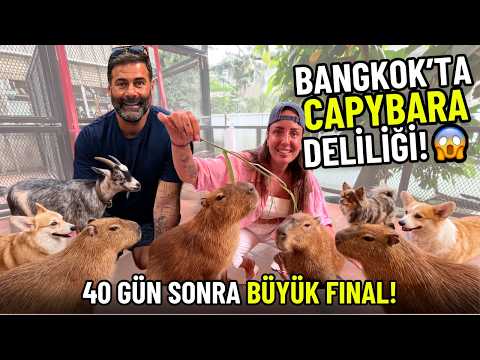Şehrin Ortasında Bu Hayvanların Ne İşi Var?! 😱 | Bangkok’ta Şaşırtan Egzotik Cafe | 31
