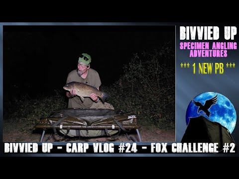 Bivvied Up - Carp VLog #24 - Fox Challenge #2