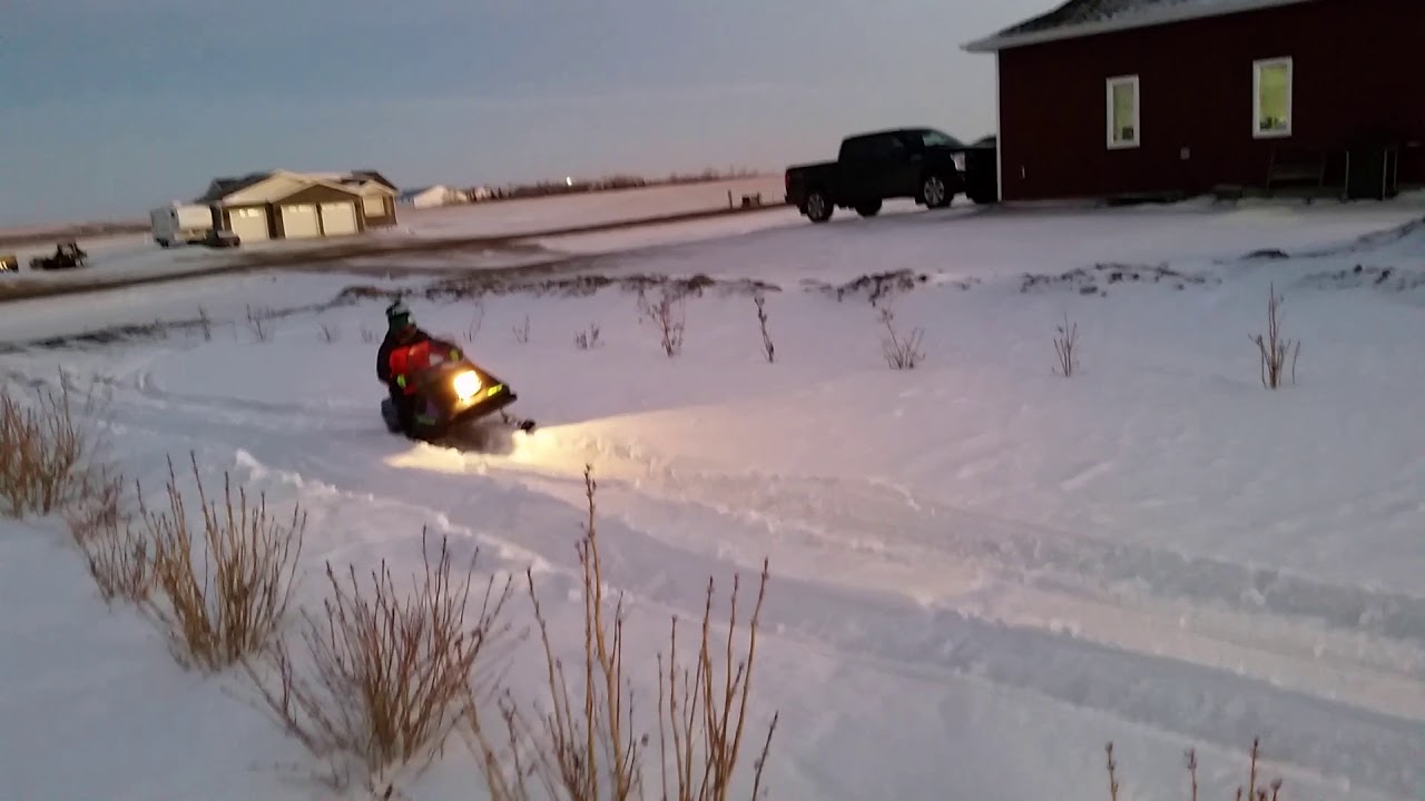 Kitty Cat in some deep snow - YouTube