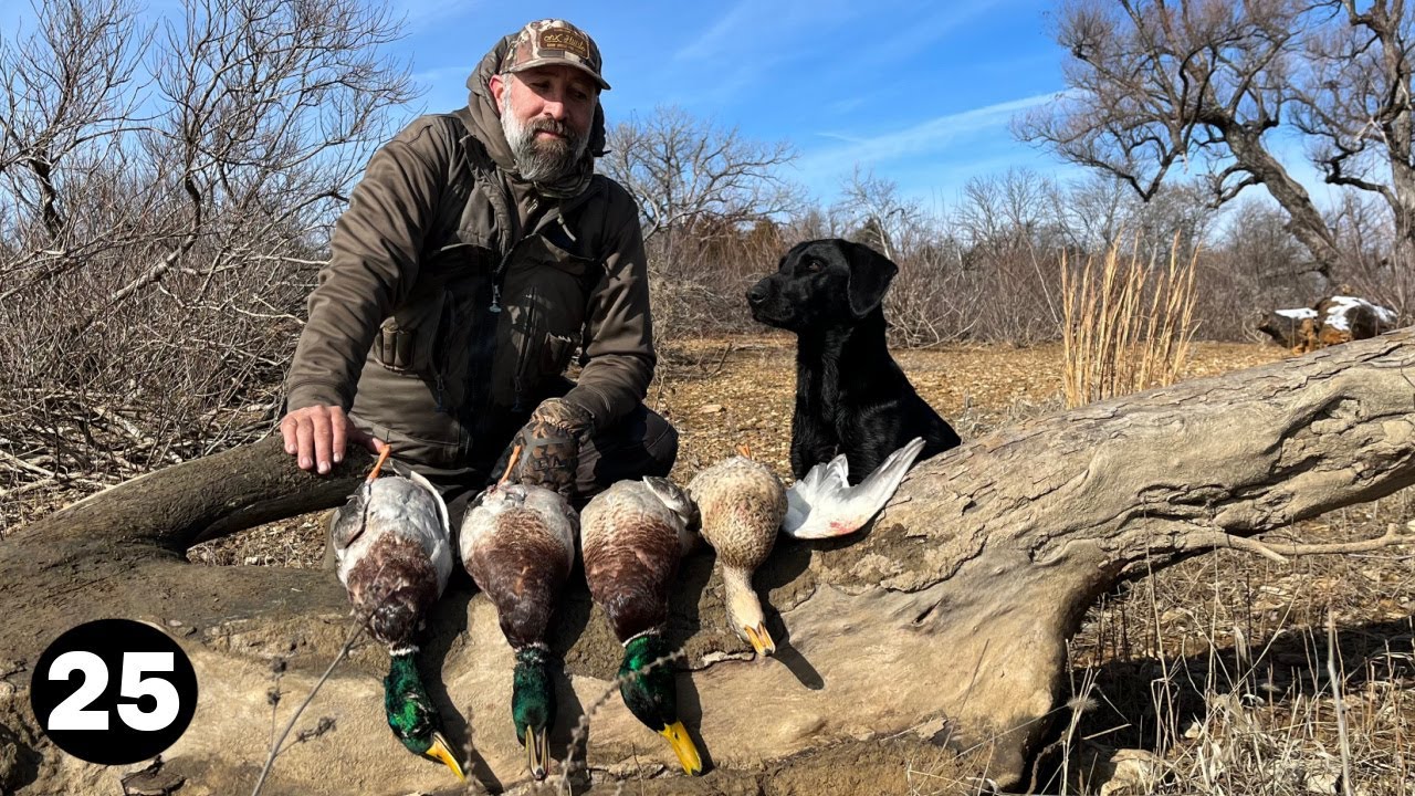 Late Season Mallard Duck Hunting On an Icy Open Lake Point - YouTube