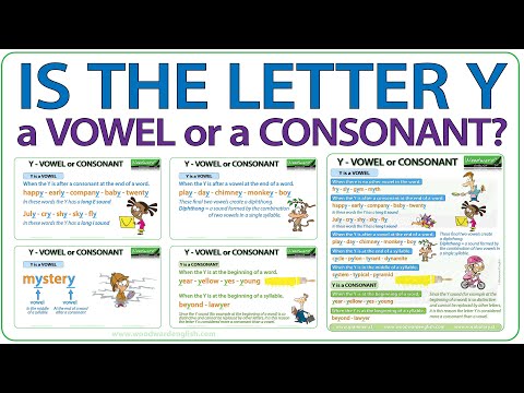 Is the letter Y a VOWEL or a CONSONANT?